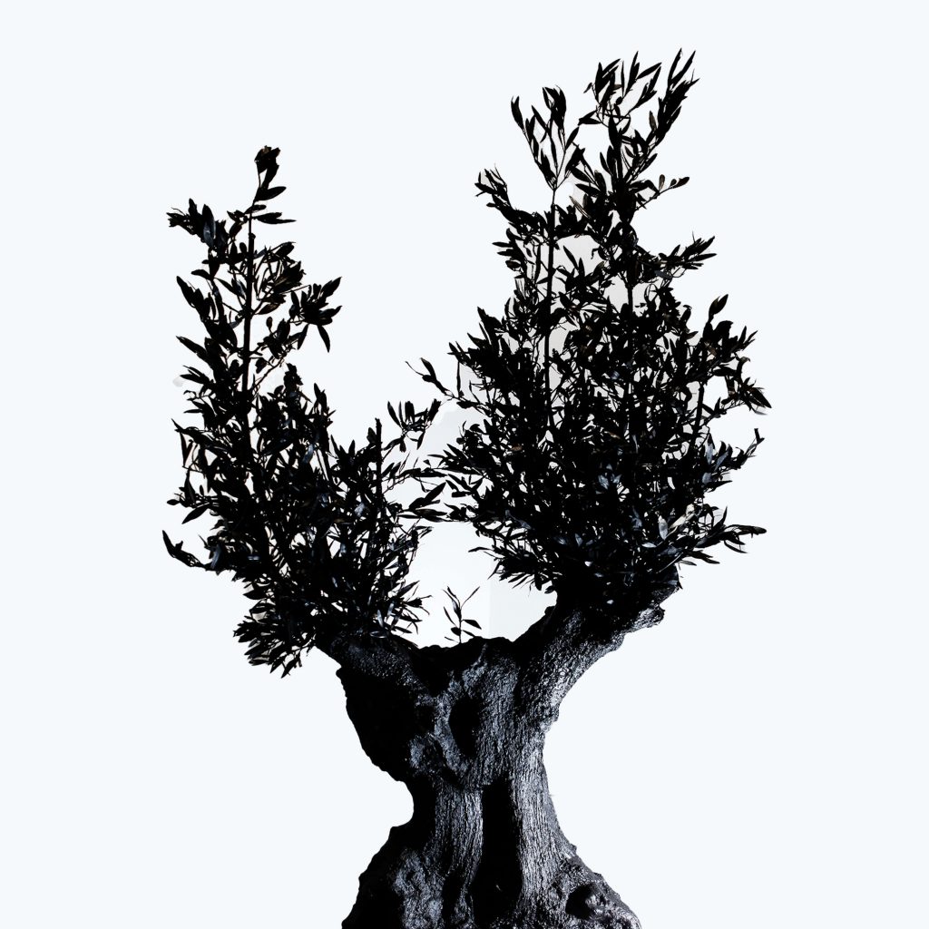 Dessin d'art : les différents types de dessins